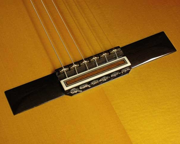 Raimundo 646 MIDI Flamenco Guitar Review – Guitar From Spain